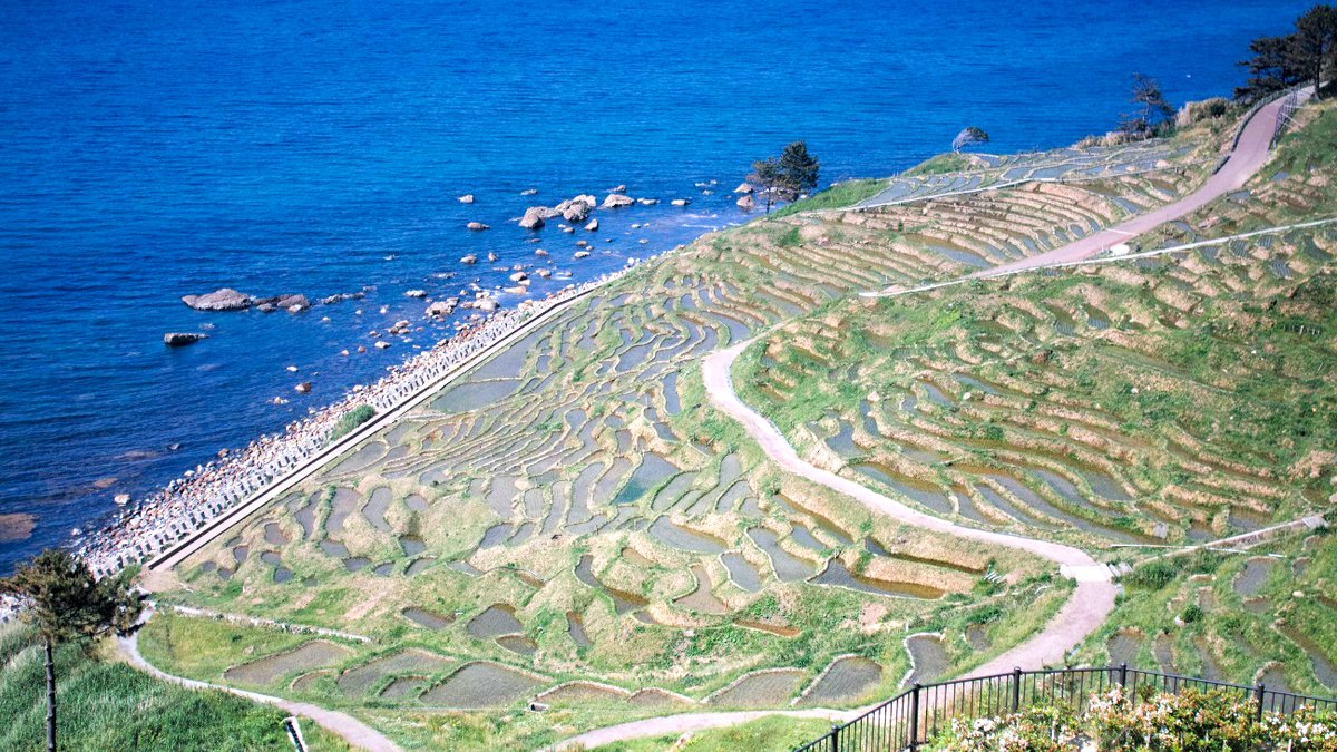 能登半島をぐるり一周。石川県の自然と文化をめぐるドライブ旅 - TRiP EDiTOR